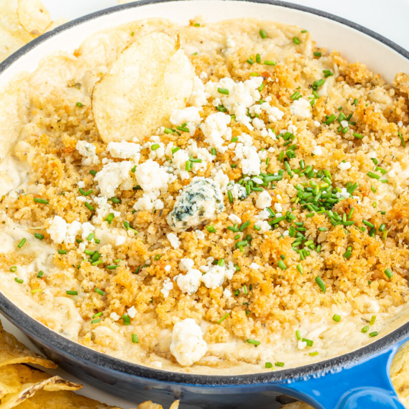 Hot Blue Cheese Dip